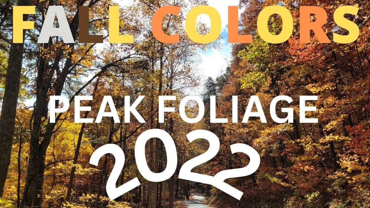 PEAK FALL FOLIAGE 🍁| LEAVES PEAKING IN THE GREAT SMOKY MOUNTAINS | 2022 ...