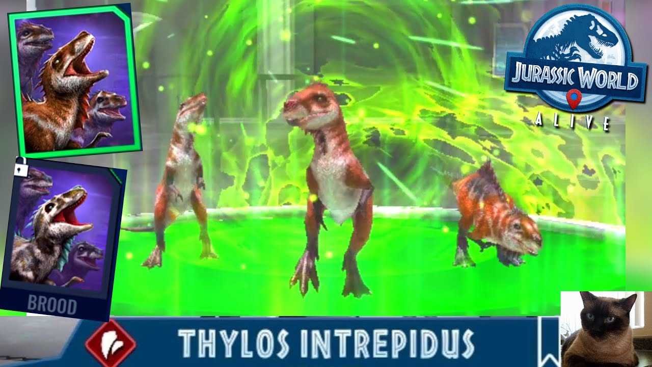 Unique Flock THYLOS INTREPIDUS UNLOCKED!! All New Jurassic World Alive ...