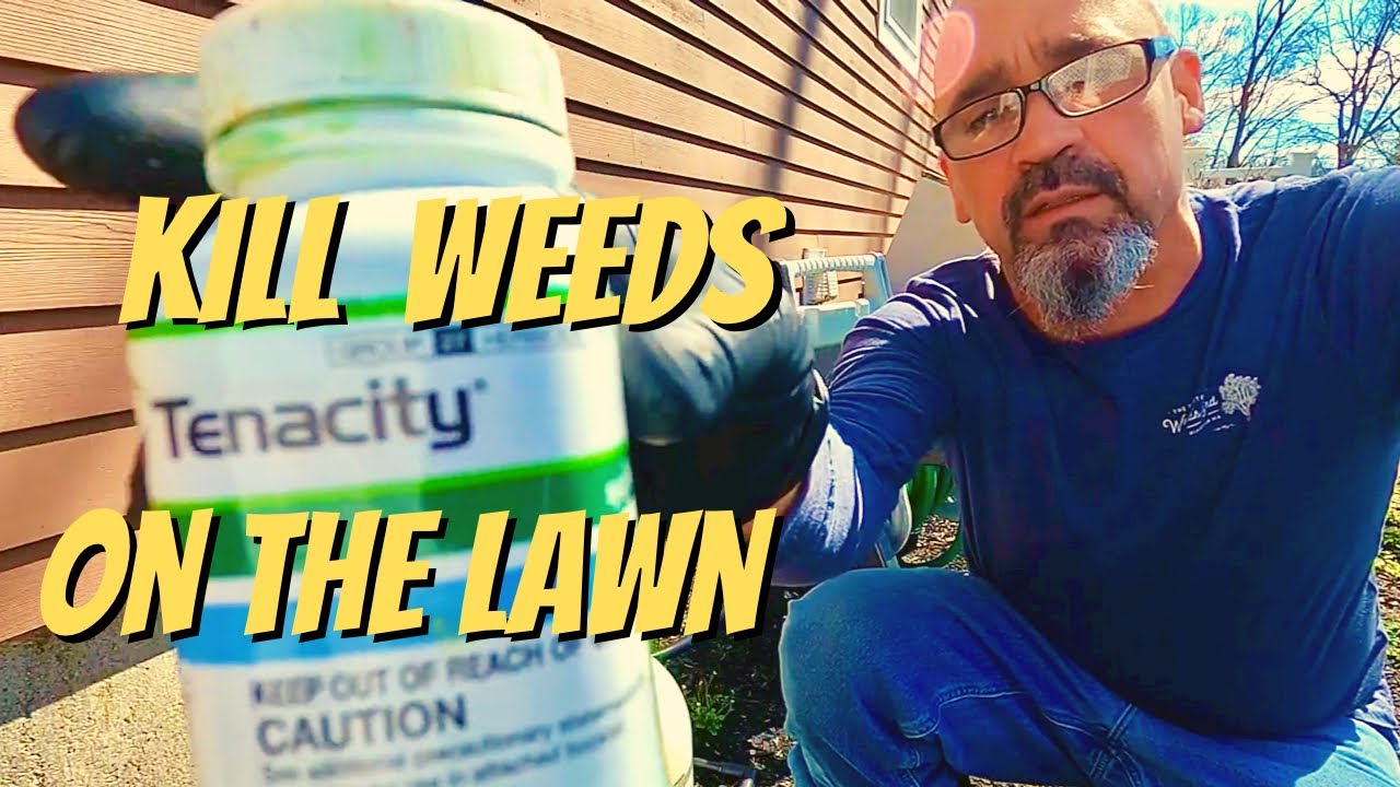 How to Use Tenacity on the LAWN - YouTube