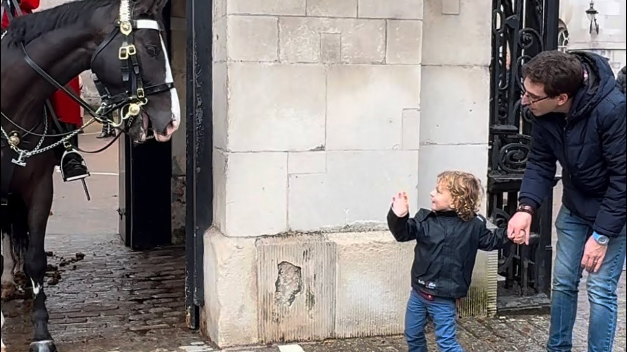Sweet Moment!! The Young Boy and the Royal Steed: A Moment of ...
