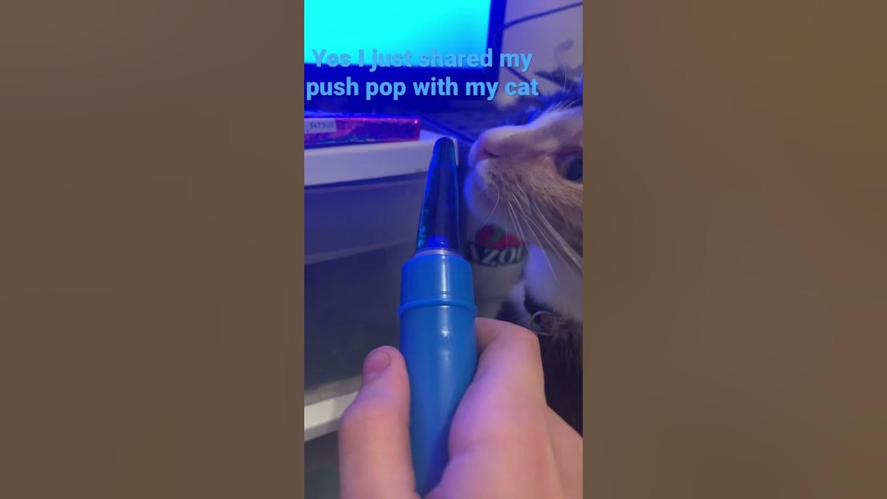 she-is-so-darn-cute-youtube
