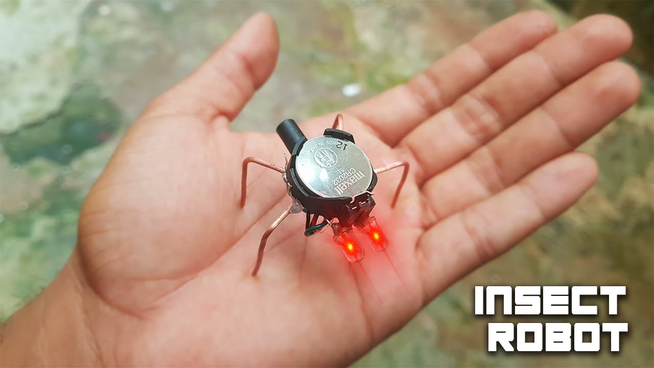 How to Make a Homemade Insect Robot - Easy to Make - YouTube