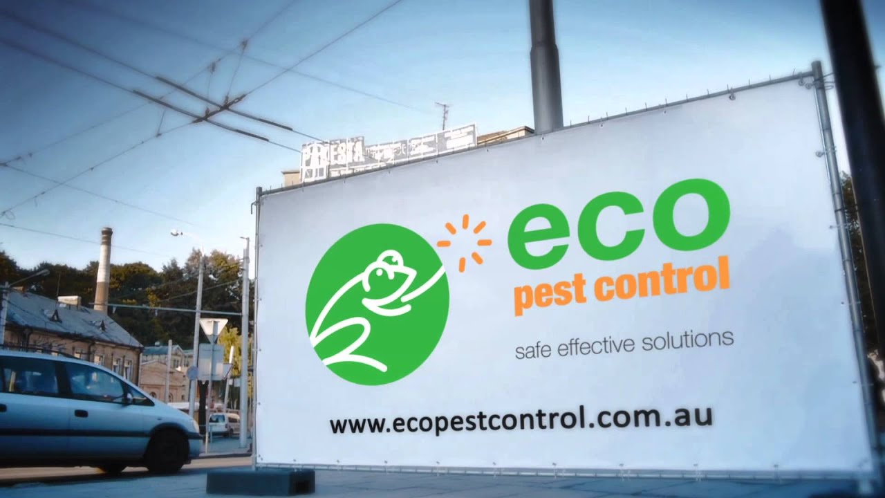 Eco Pest Control - The Name Around Town - YouTube