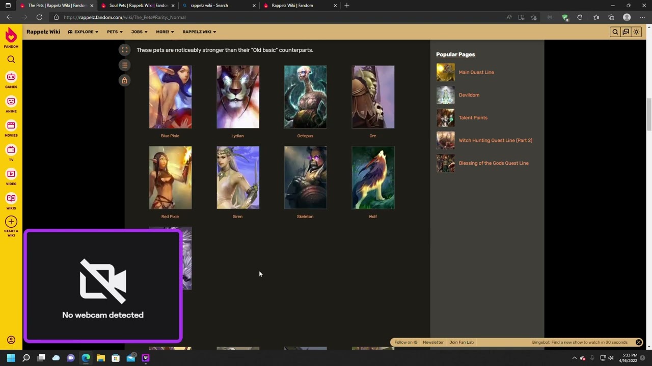 Rappelz: Pet Systems Overview - YouTube