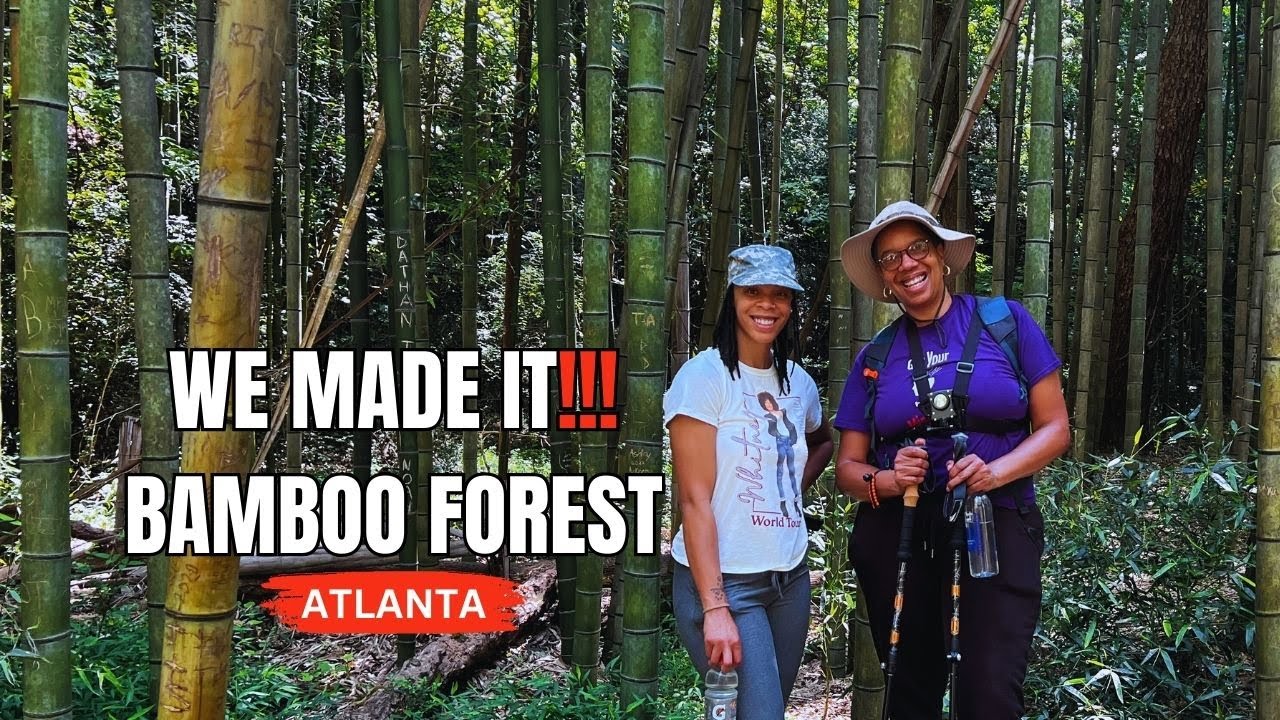Hiking Trail To Hidden BAMBOO FOREST In Atlanta | East Palisades Indian ...