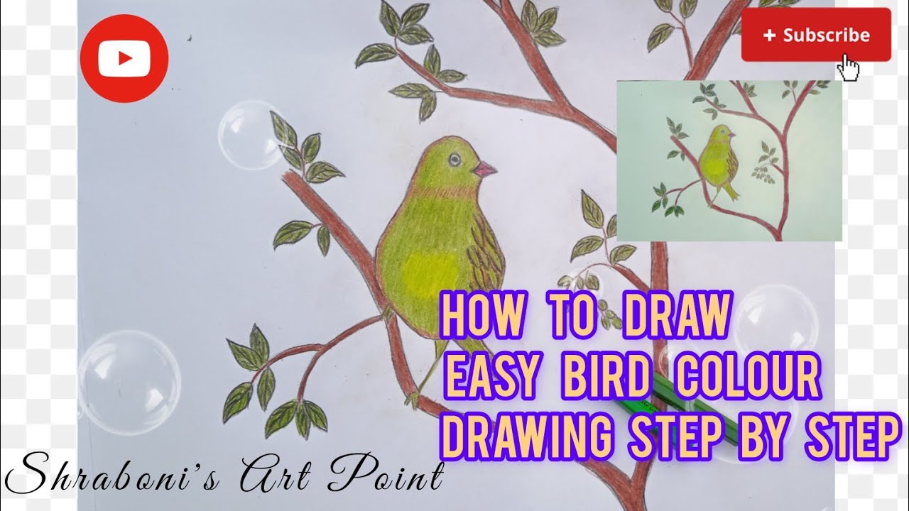 How To Draw Easy Bird Pencil Colour Drawing Step By Step|🐦How To Make ...