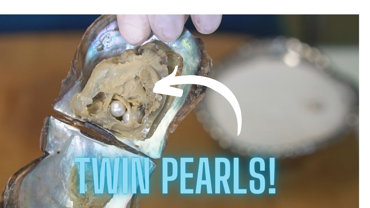 Twin Pearls! (Reveals 12901 - 12934) - YouTube