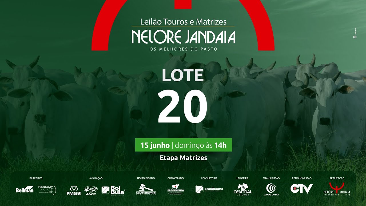 LOTE 20 AIA C102 63 B9448 - YouTube