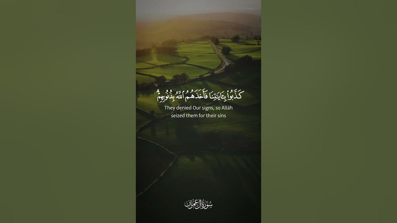 إن الذين كفروا لن تغني عنهم أموالهم ولا أولادهم من الله شيئا [ آل عمران