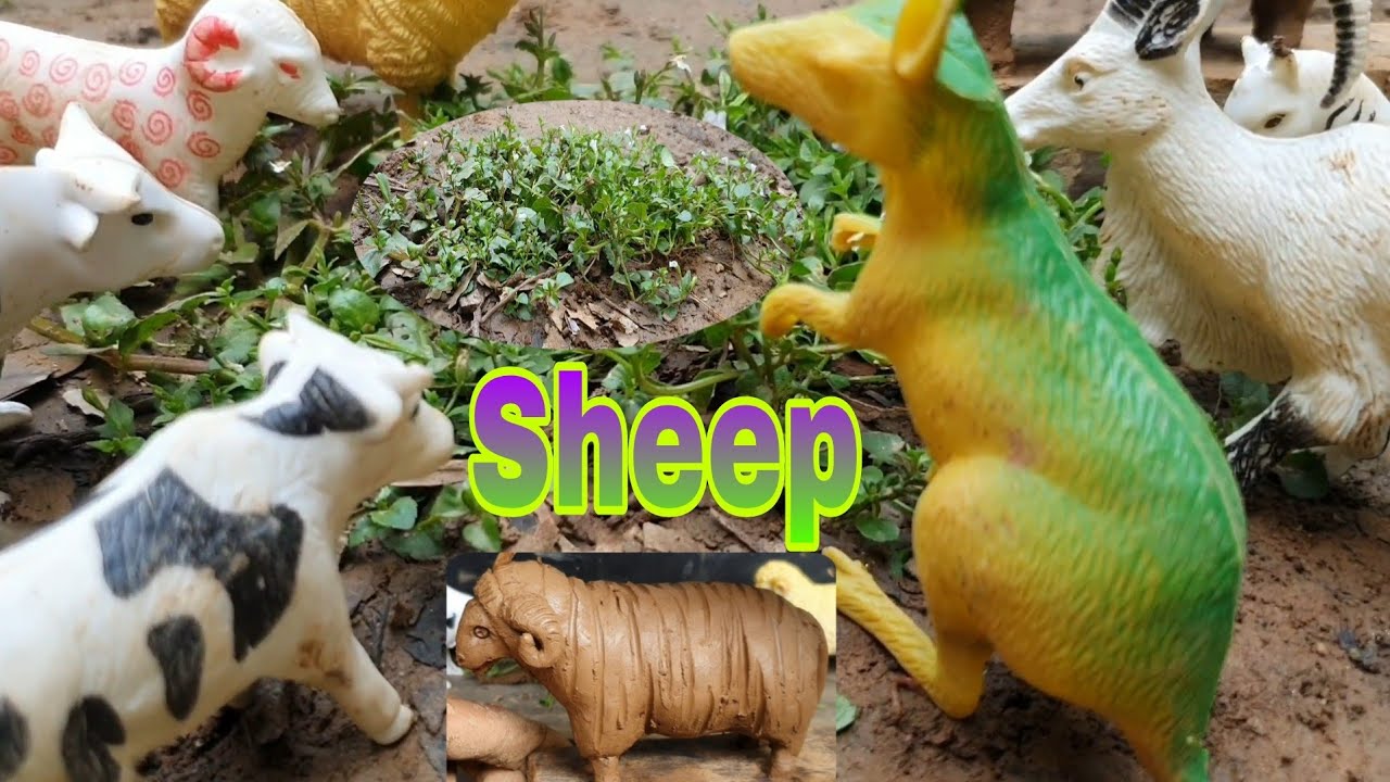 DIY How to sculpt a Sheep | clay sculpture easy. - YouTube