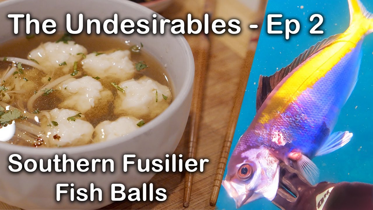 Spearfishing The Undesirables - Ep 2 - Southern Fusilier Fish Balls ...