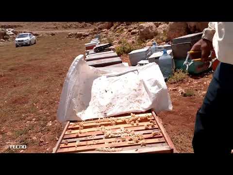 29/6/25  güzel bir günün felaket sonu canımızı zor kurtardık araba pert