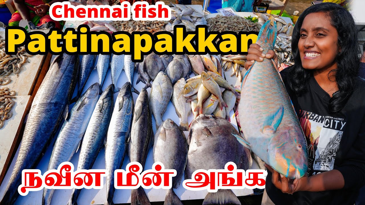 Pattinapakkam Fish Market Chennai I Tastee with Kiruthiga - YouTube