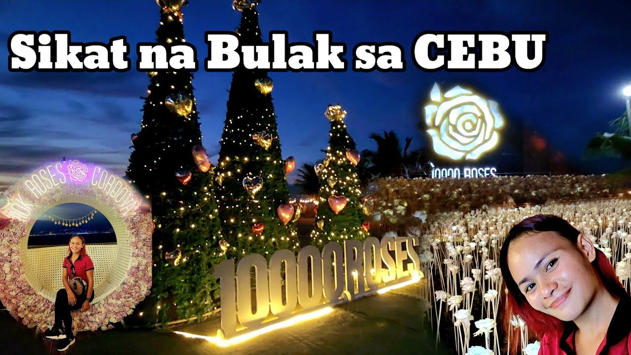 10,000 Roses in CEBU CITY 2023 (Night) - YouTube