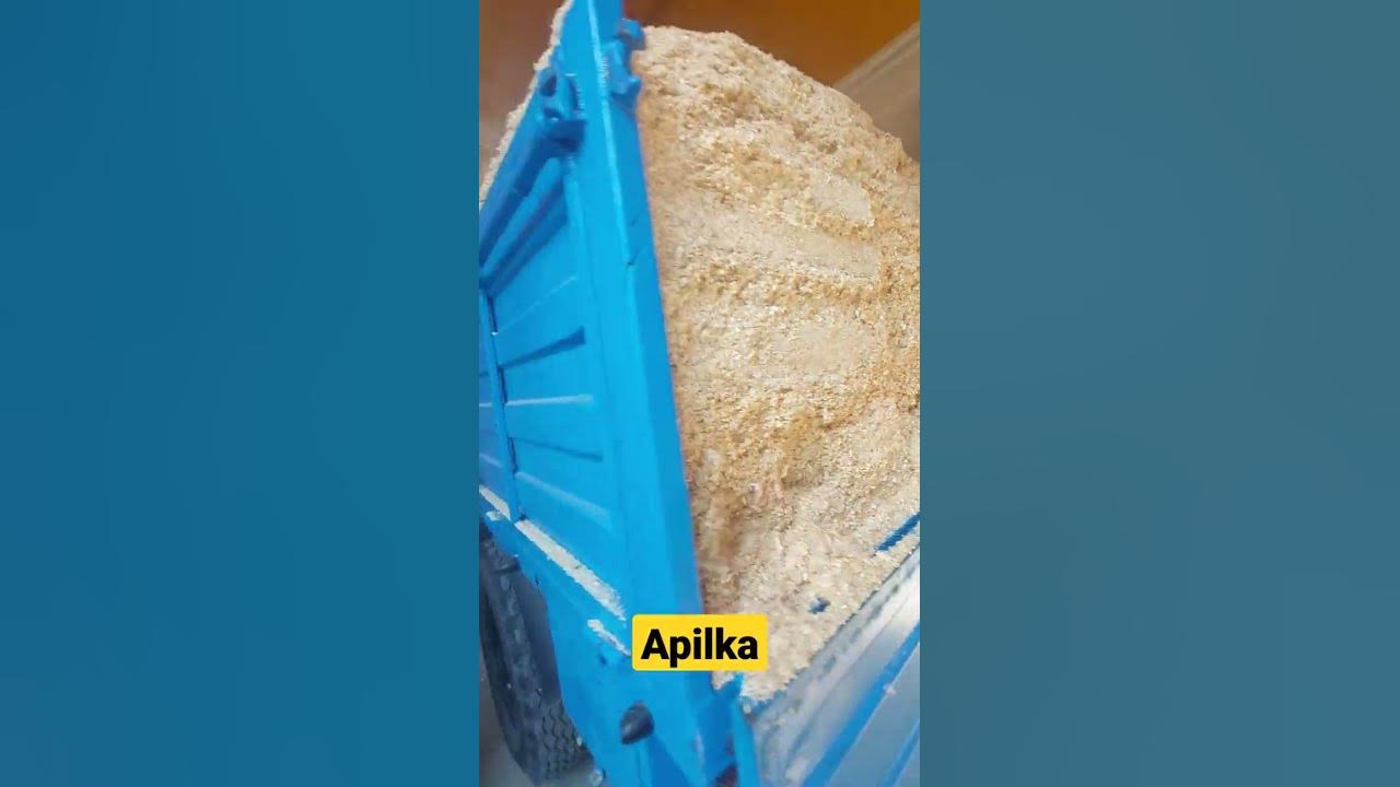 Opilka | Apilka - YouTube