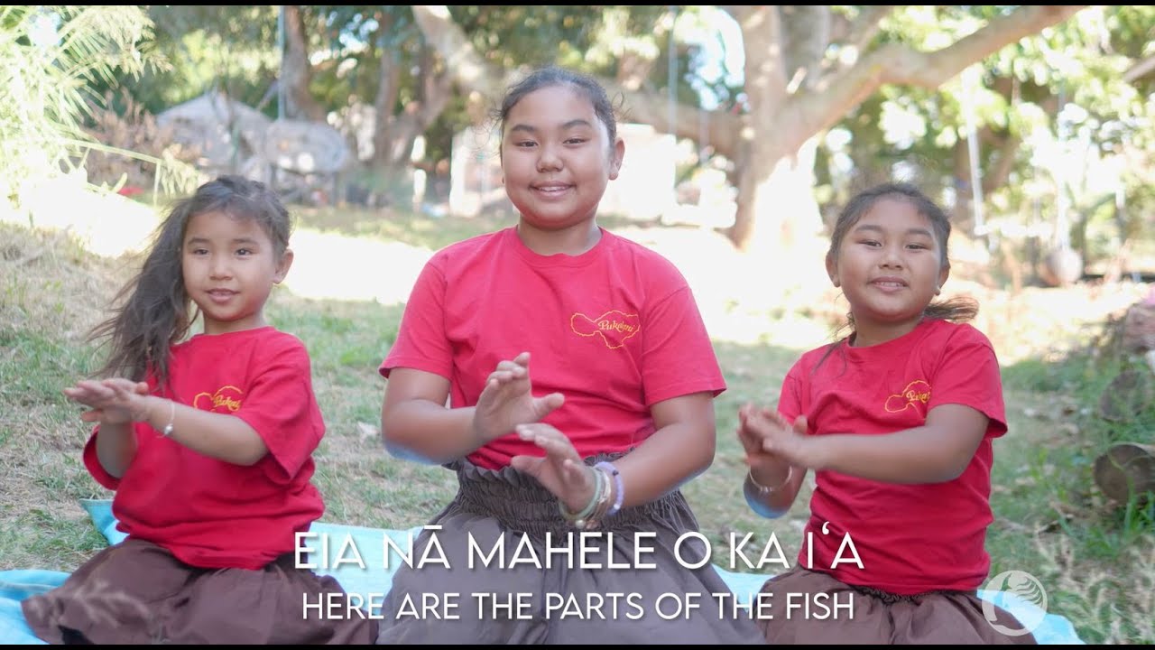 Learn Fish Anatomy Through Hula! - YouTube