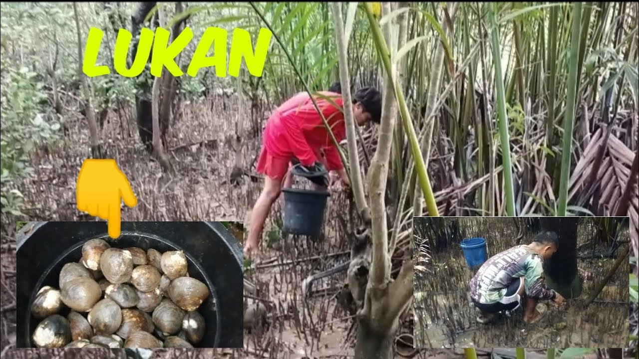 LUKAN (CLAM SHELL) ADVENTURE - YouTube