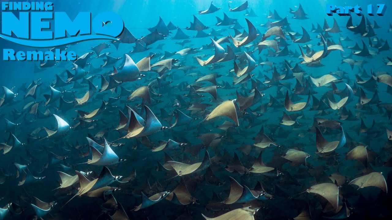 Finding Nemo: The Live Action Remake (Part 17) - YouTube