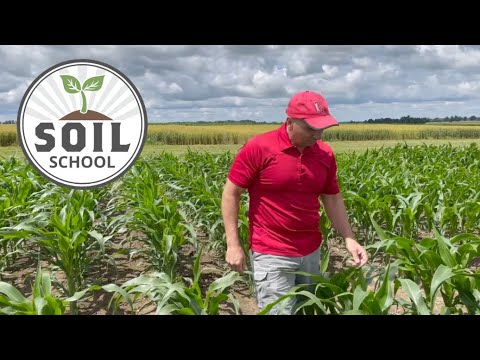Soil School: How nutrients move and the impact on fertilizer management ...