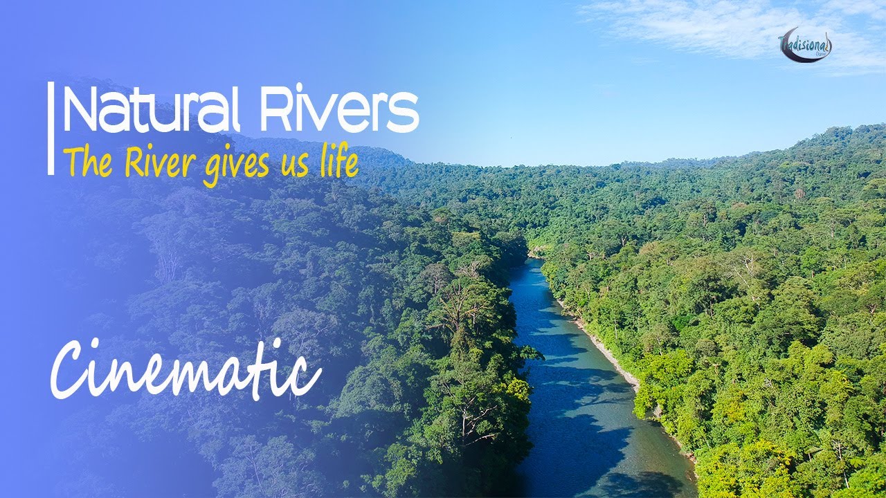 The River gives us life | Natural River Video - YouTube