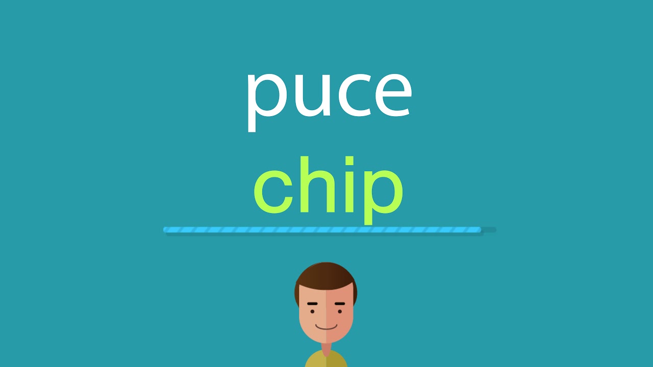 Comment dire puce en anglais - YouTube