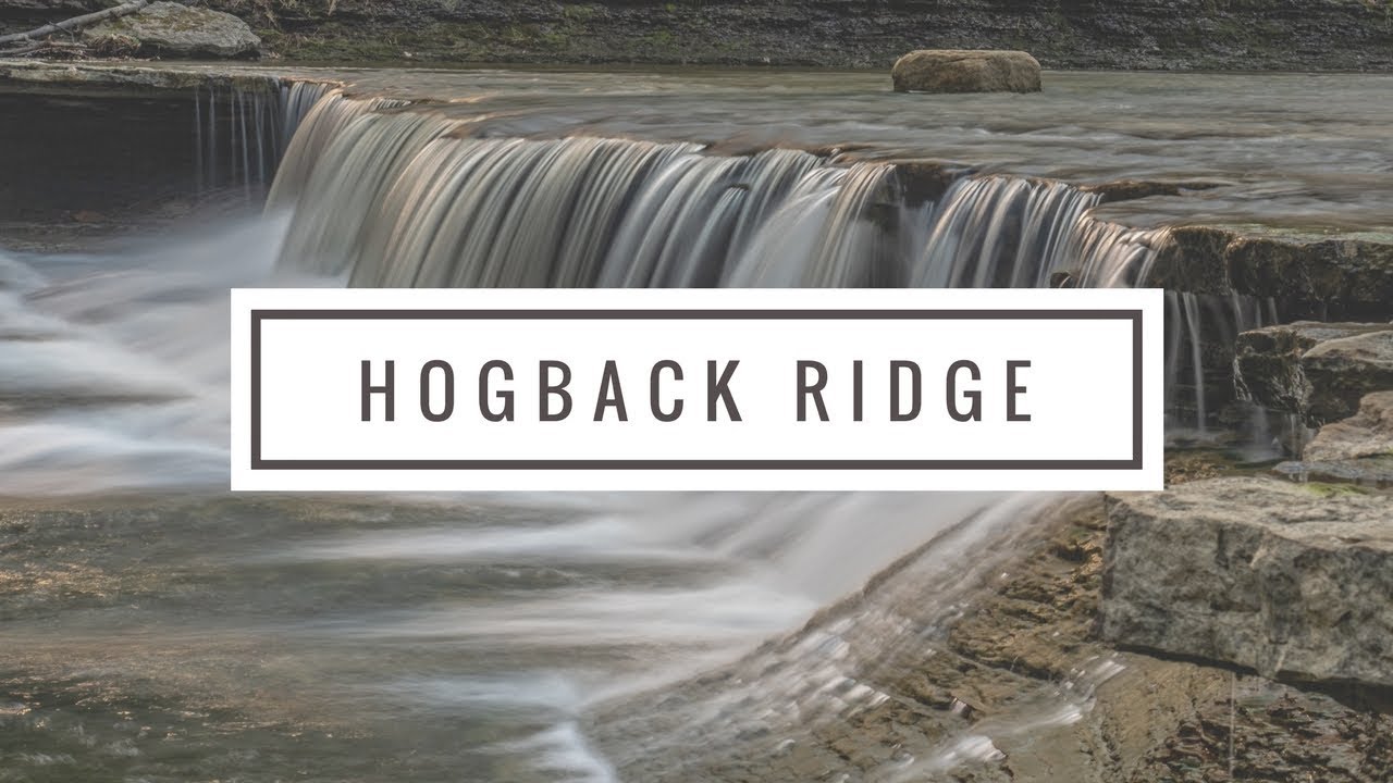 Landscape Photography: Hogback Ridge Waterfalls & Macro Wildflowers ...