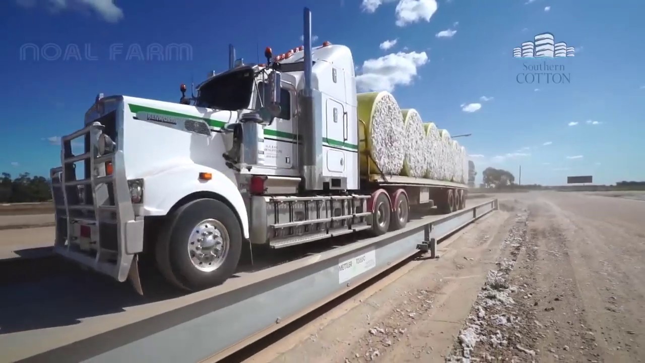 Cotton, growing, harvesting, processing - YouTube