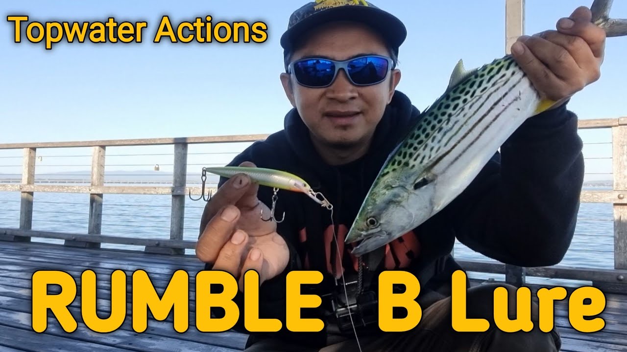 Catching Bonito on lures RUMBLE B |Redcliffe fishing - YouTube