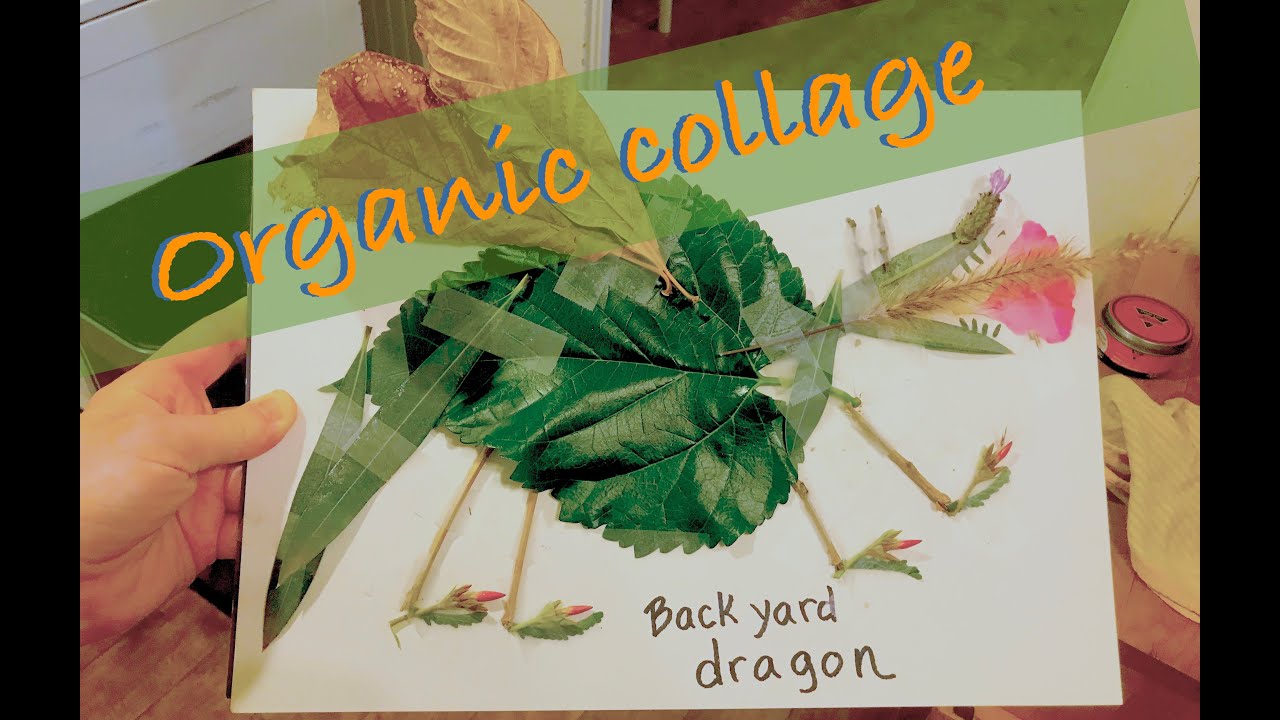Backyard Dragon collage - YouTube