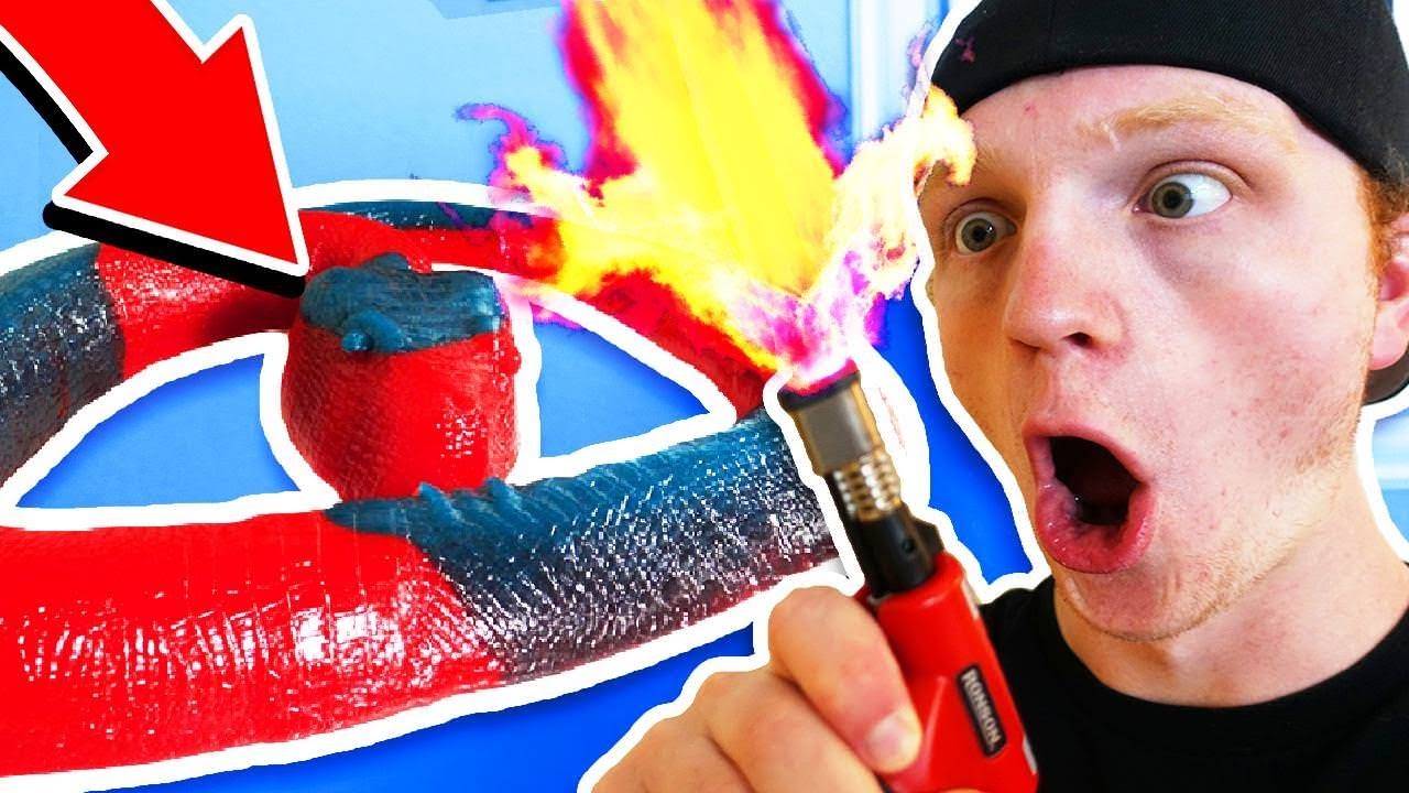 8 FOOT GUMMY SNAKE vs BLOW TORCH! - YouTube