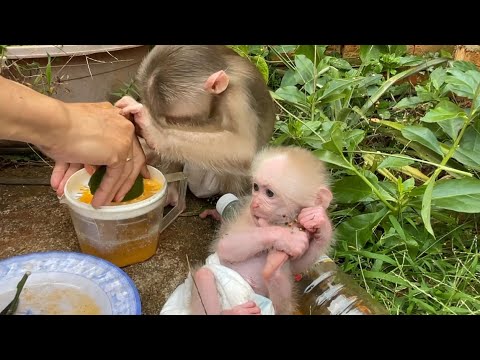Alien observe Abi hold mom hands to help her make orange juice - YouTube
