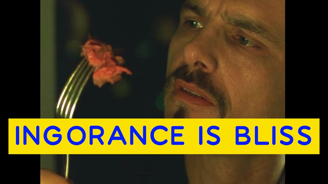 Ignorance Is Bliss