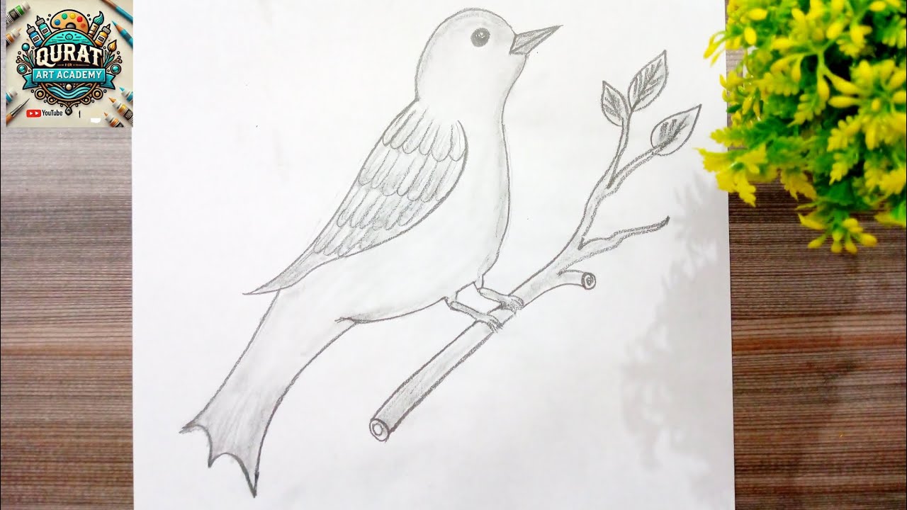 How to Draw Bird Step by Step | Easy Bird Drawing with Pencil Shading ...