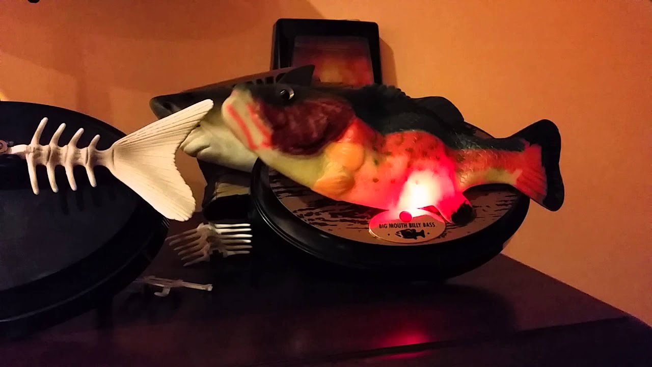 My new custom fish!!! - YouTube