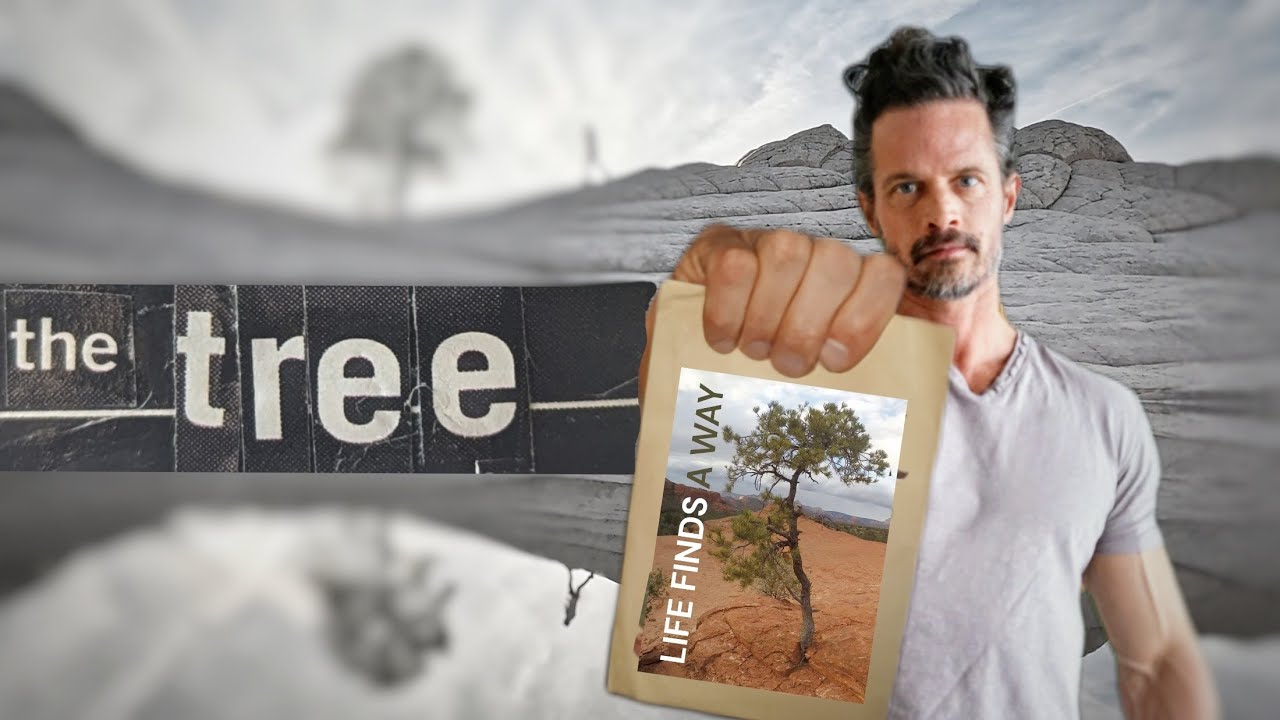The TREE that Changed ME - a life lesson from a TREE - YouTube