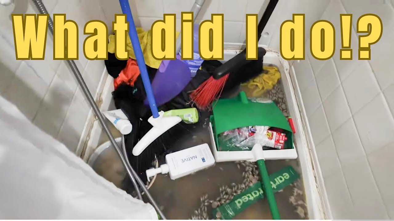 Such a rookie mistake! Can’t believe I did this! || Best Cajun food I ...