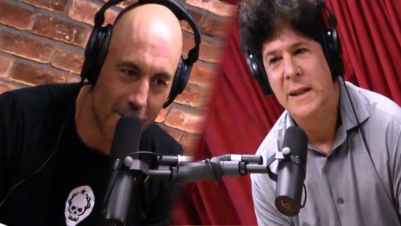 Joe Rogan's sudden fascination of chimpanzee penis size - YouTube