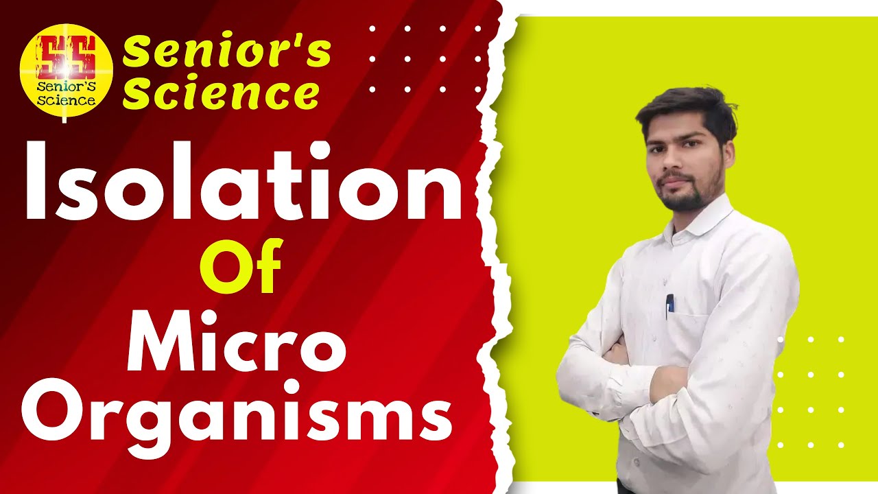 Isolation 🔬 of Microorganisms || How to Microorganisms Isolate ...