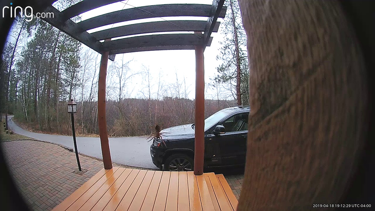 Scary Visitor Caught on Ring Door Camera - YouTube