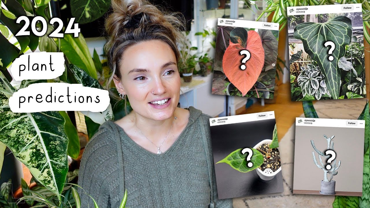 The "IT" Plants of 2024 🌱 Amazing Houseplants Predicted To Trend In The Next Year - YouTube