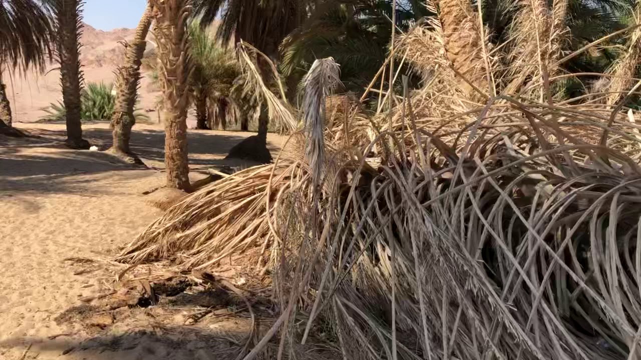 Spring water of Musa AS - YouTube