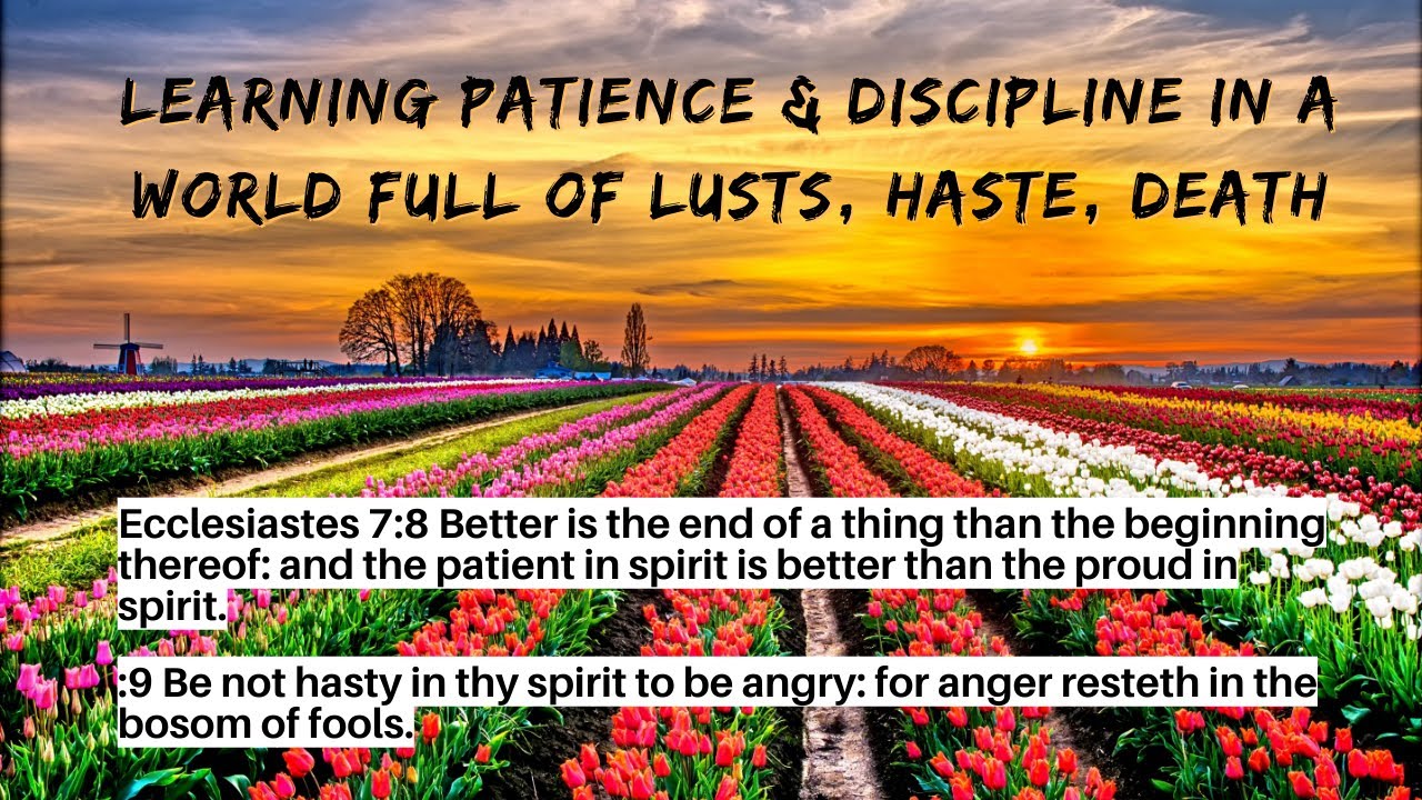 Learning Patience & Discipline In A world Full of Lusts, Haste, Death ...