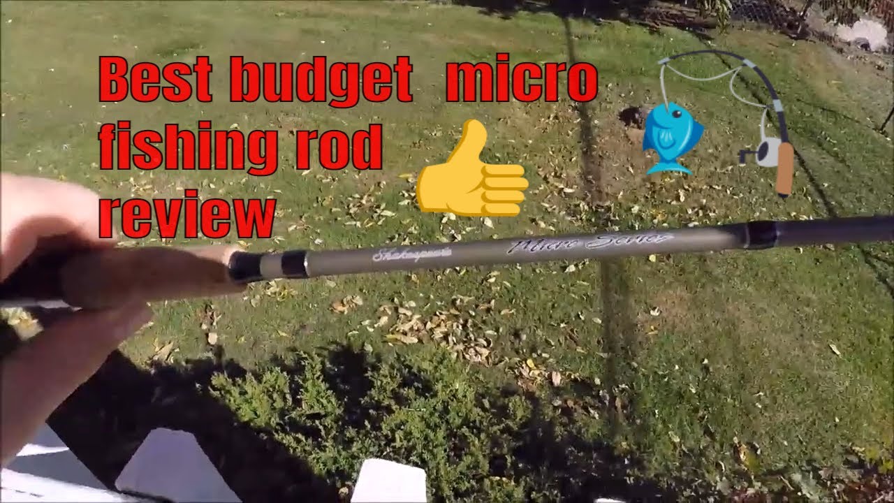 best budget micro spinning fishing rod at walmart 1 year in review ...