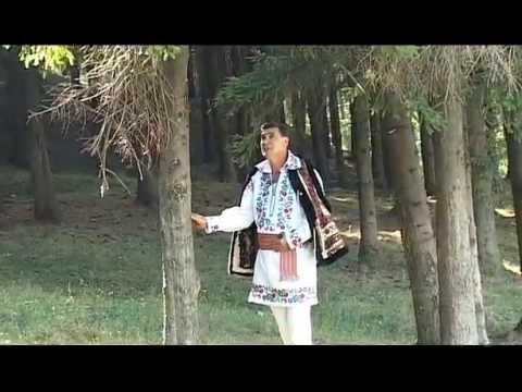 GIGI MOROSANU - Codrule, codrutule - YouTube