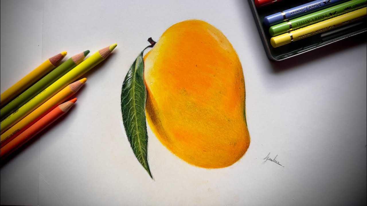 realistic drawing of mango with color pencil\learn how t draw mango ...