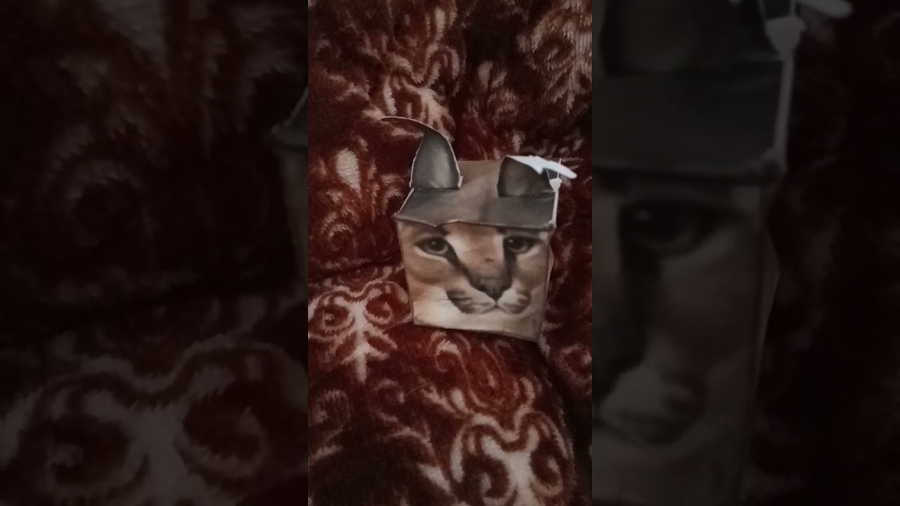 floppa junior dice con* - YouTube