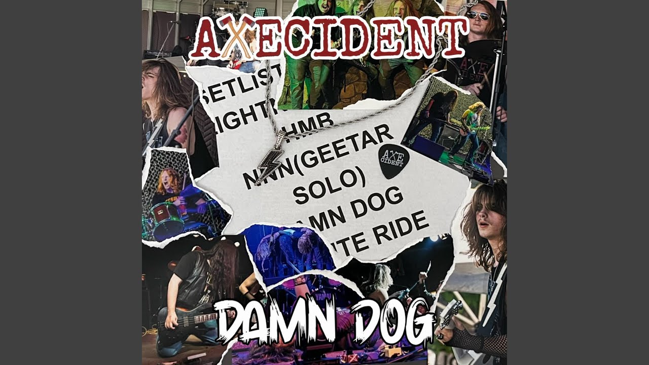 Damn Dog - YouTube