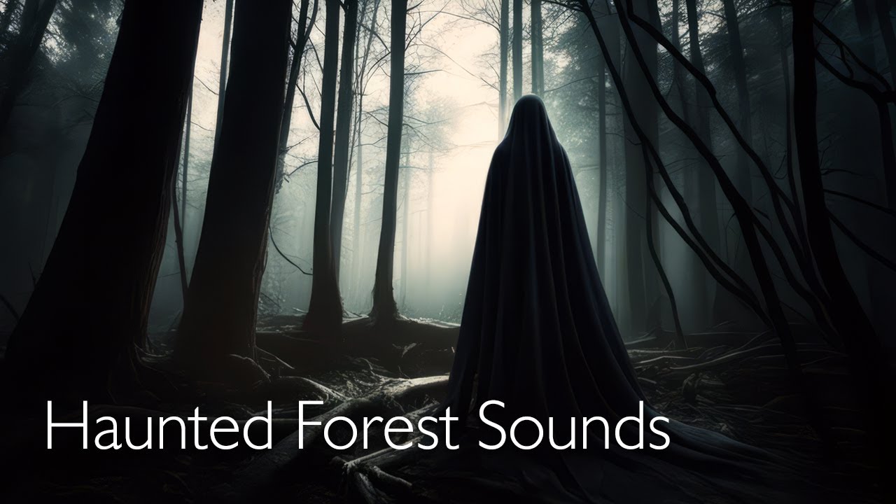 Haunted Forest Sounds | Ghostly Murmurs - YouTube