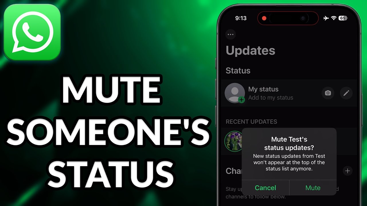 How To Mute Status On WhatsApp - YouTube