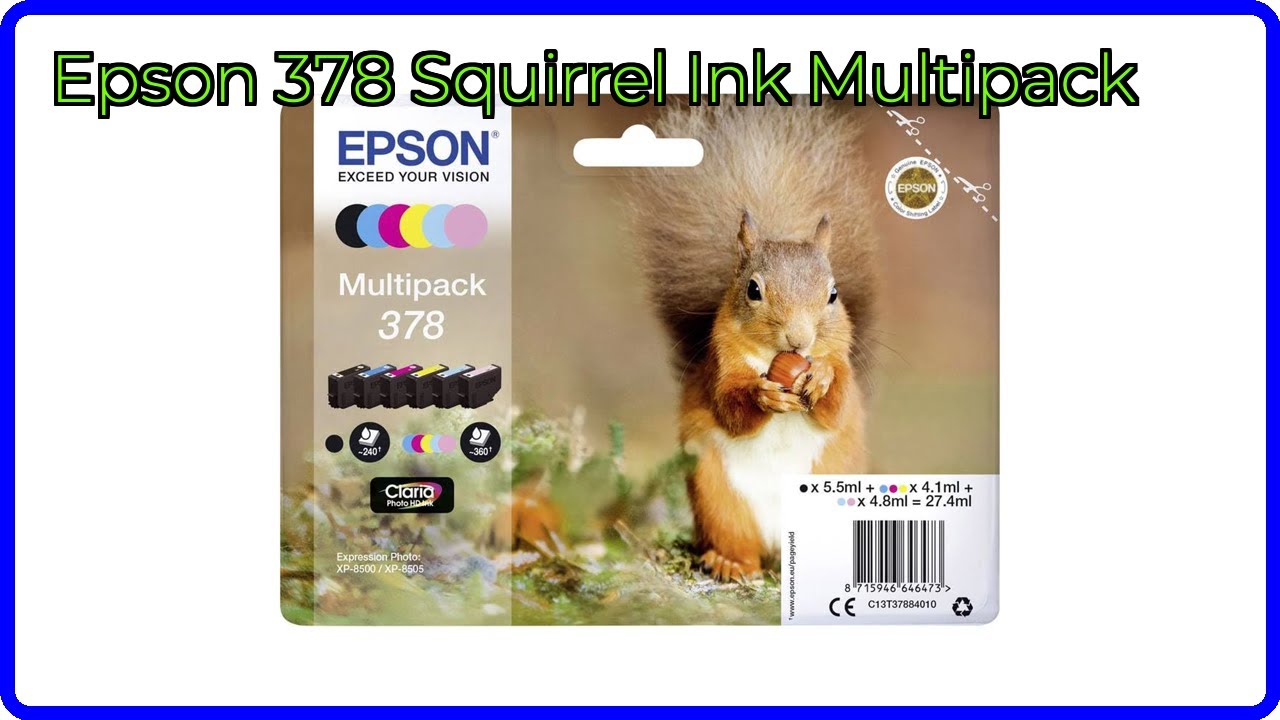 REVIEW (2025): Epson 378 Squirrel Ink Multipack. ESSENTIAL details ...